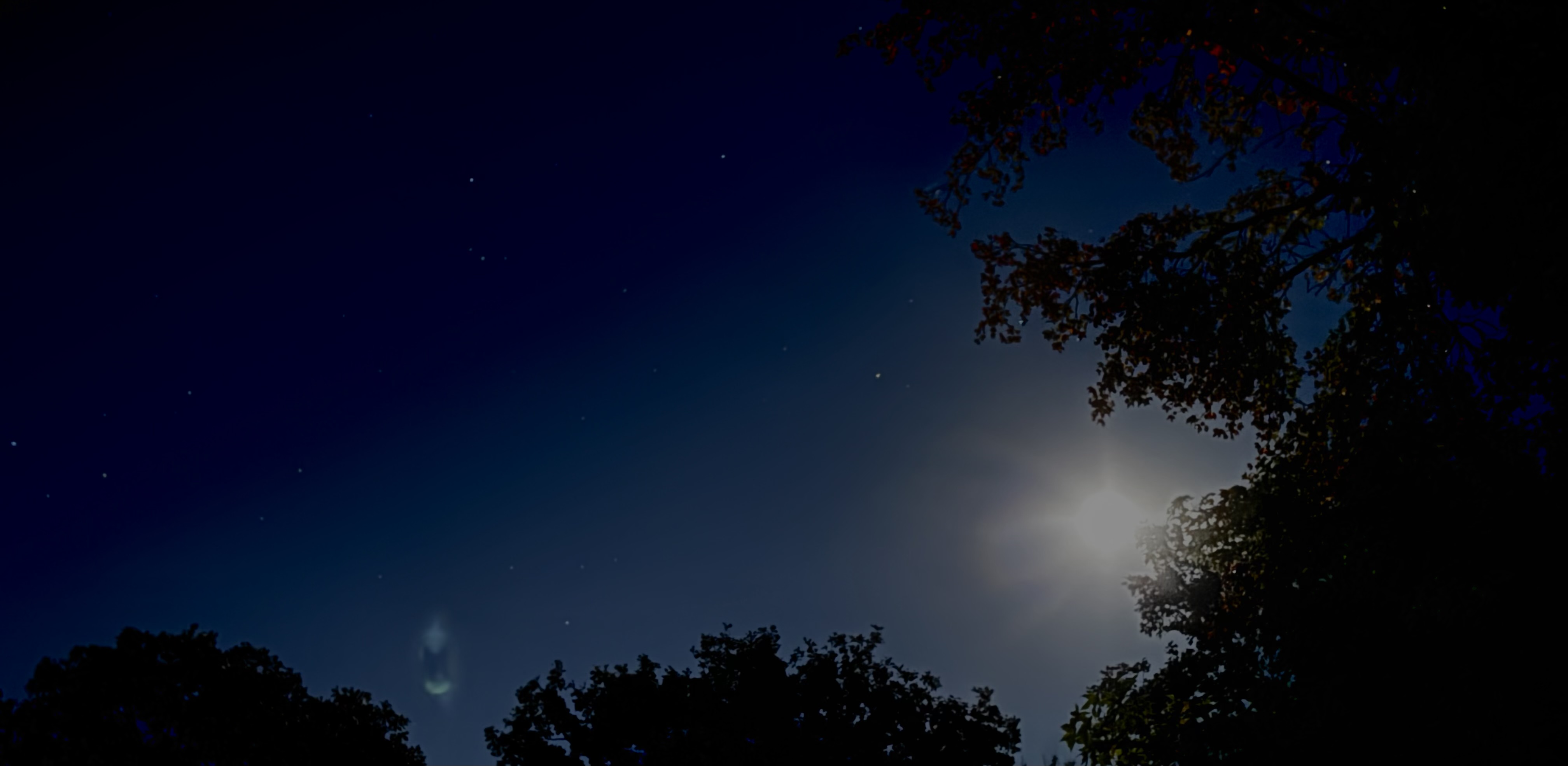 Come Dance With Me | Kate Wolfe