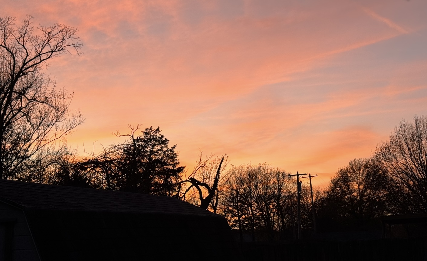 A Widow’s Sunset | Kate Wolfe